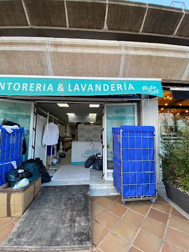 Tintoreria lavanderia master valet, San Pedro Alcántara - Málaga -